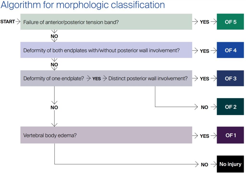 Ao Spine Dgou Osteoporotic Fracture Of Classification System